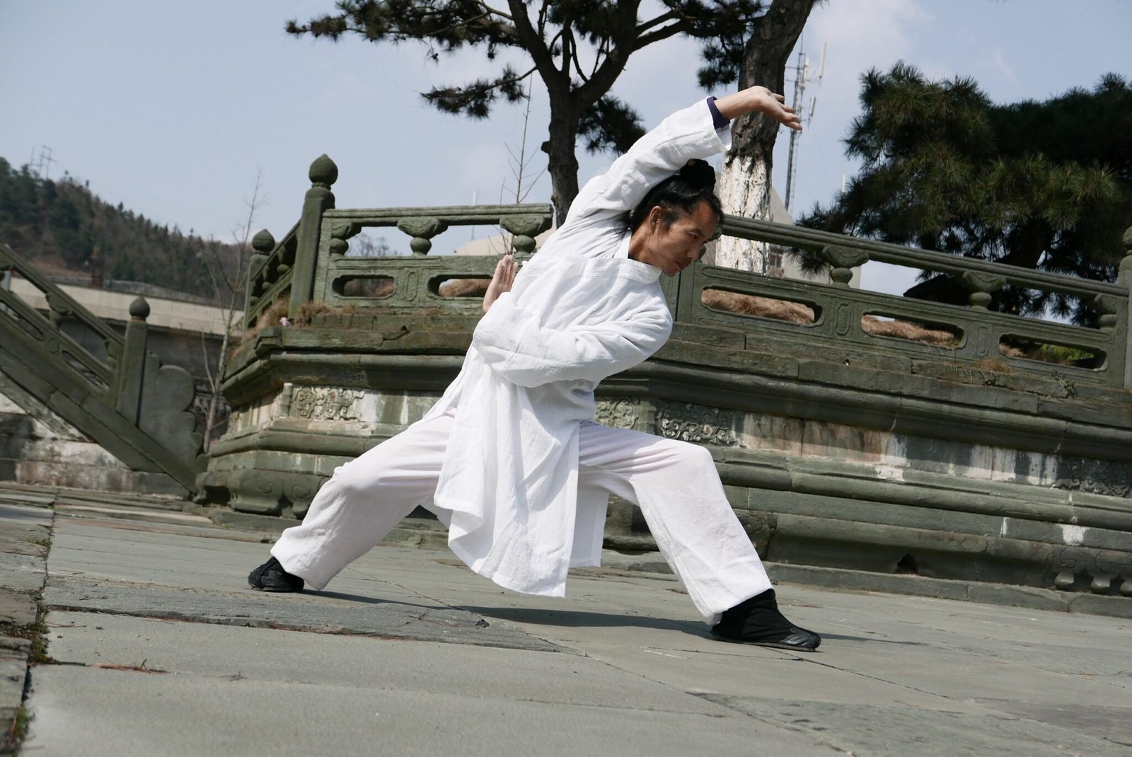 Wong fei Hong: Life of a Legend - Wu Dao Journal